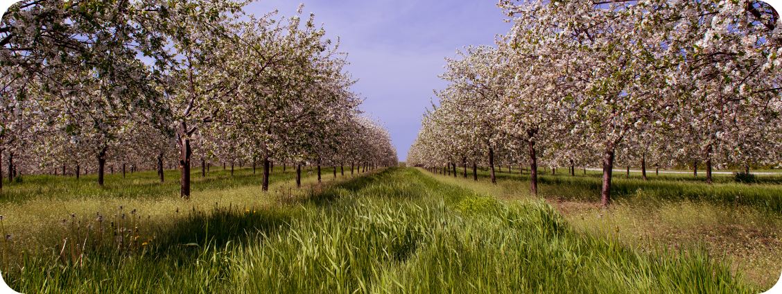 How to Spring in Door County | Open Hearth Lodge - Door County Hotel